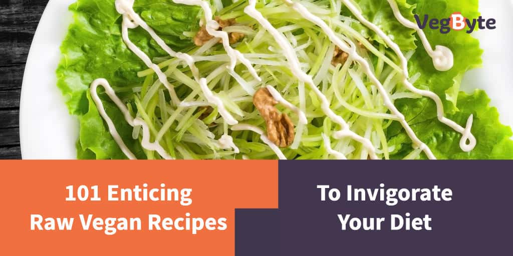 101 Enticing Raw Vegan Recipes to Invigorate Your Diet | VegByte