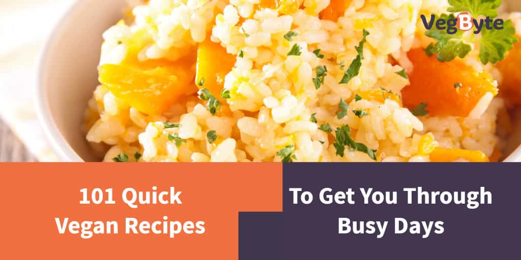 101 Quick Vegan Recipes to Get You Through Busy Days | VegByte